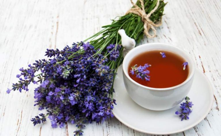 9 Manfaat Bunga Lavender Yang Jarang Diketahui - UNIMMA FM